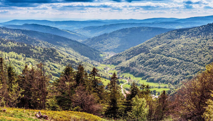 Understanding Minerals & Royalties - Heritage Land & Minerals